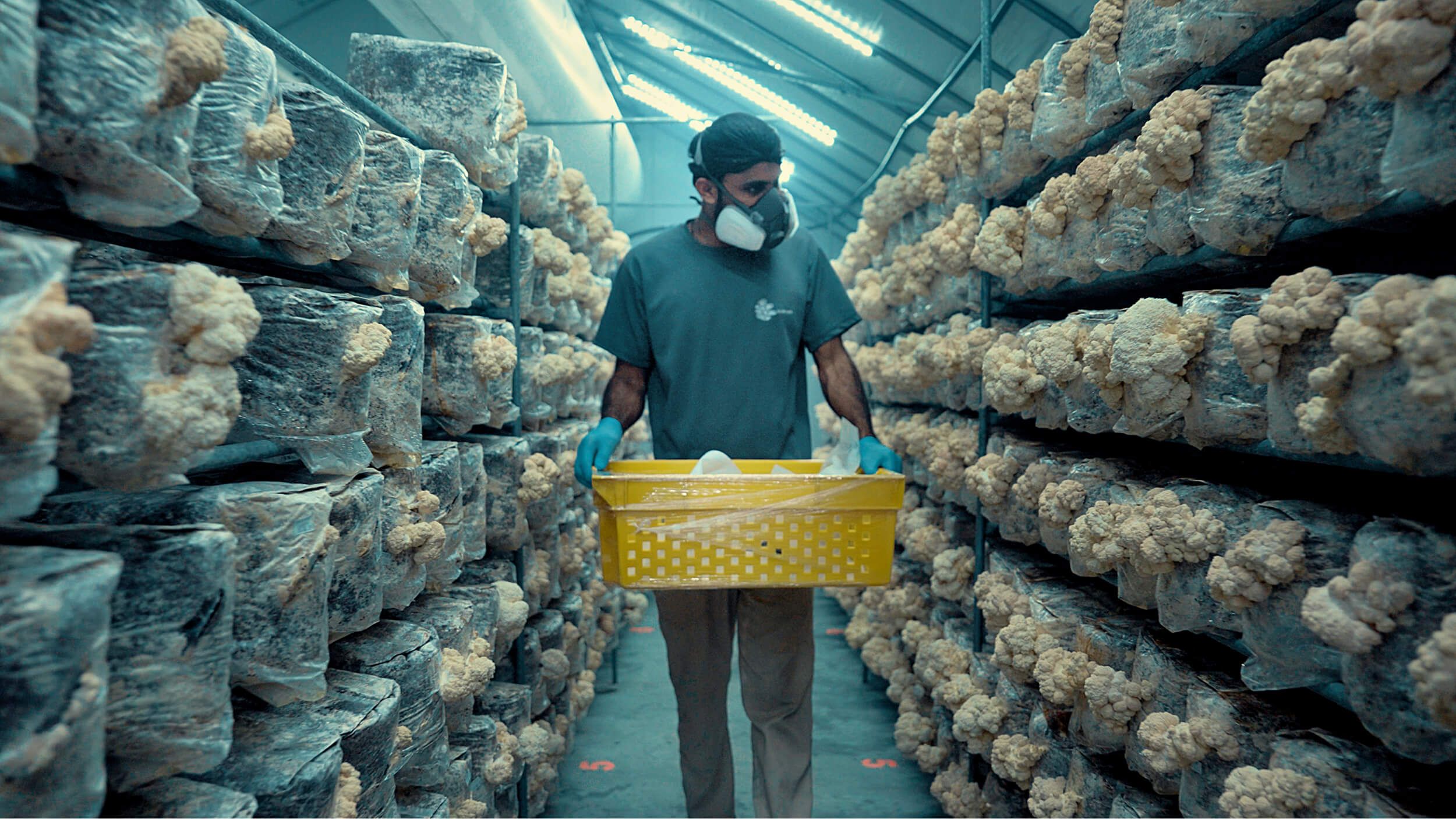 Going Deeper Underground | The Climate Tribe